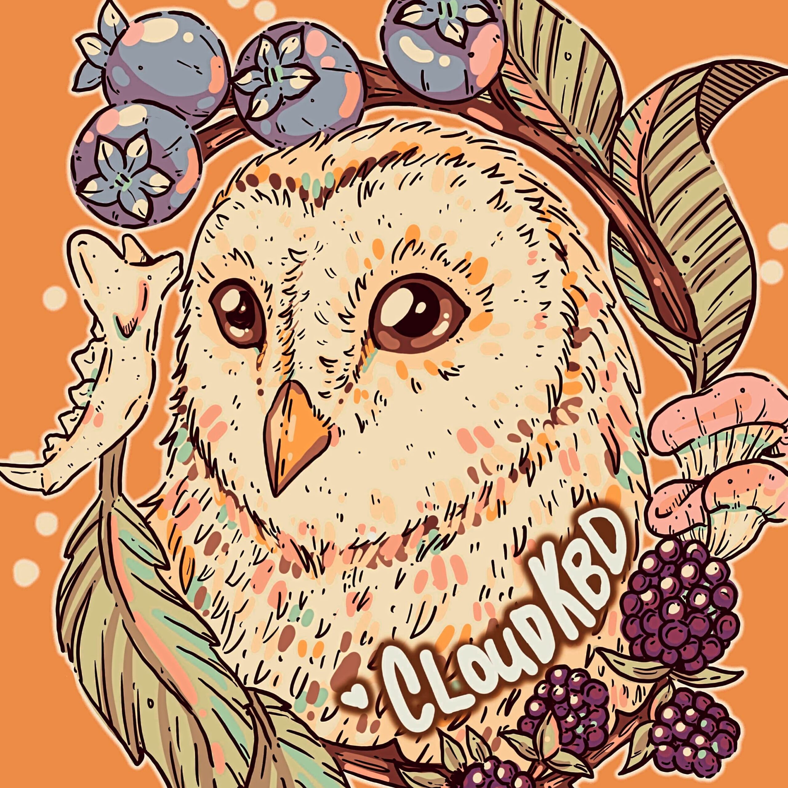 CloudKBD - LightBox Expo